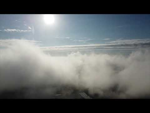 Yoga Nidra - Monkey Mind (voice only)