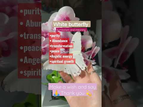 white butterfly symbolism and meaning|