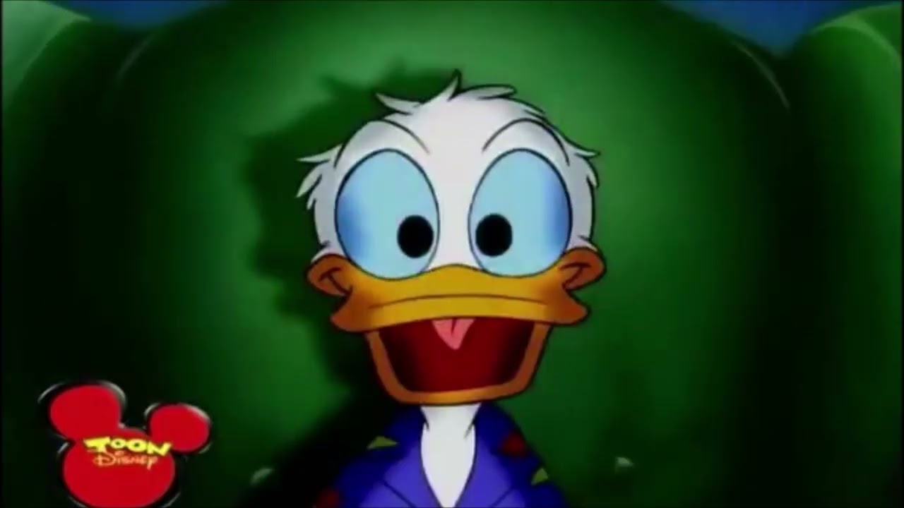 Quack Pack Intro Language Collection
