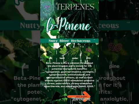 #WHATARE #whatispinene #terpenes #definitions #tutorials #instructional #aromatherapy