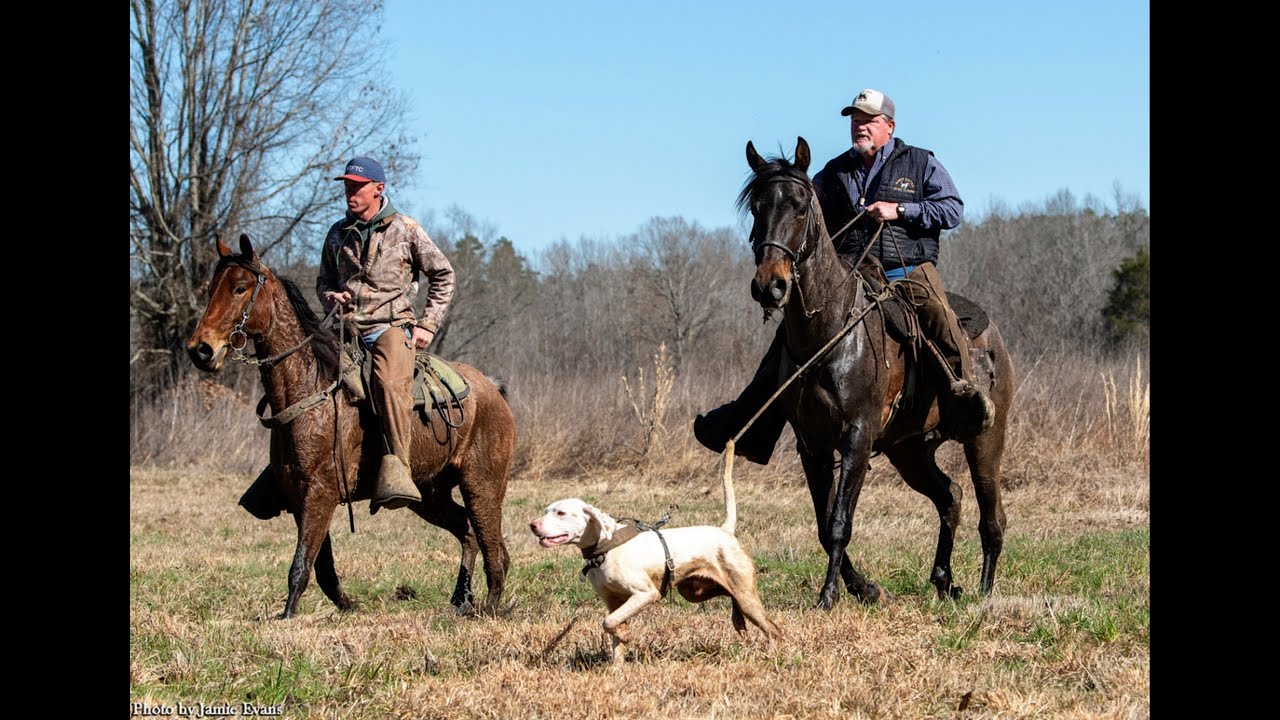National Bird Dog Trials - Ames AgResearch Center