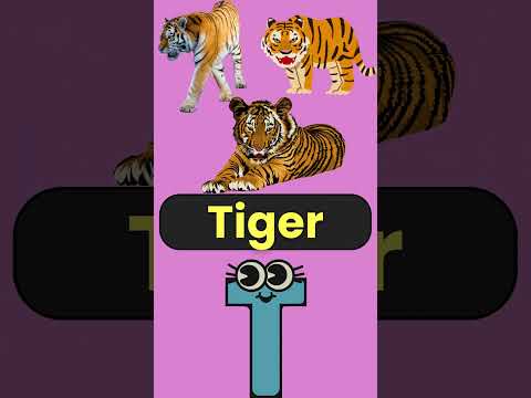 Learn Letter T with Tree, Train, Tiger & Temple | ABC Phonics | Preschool Learning (India & Global)