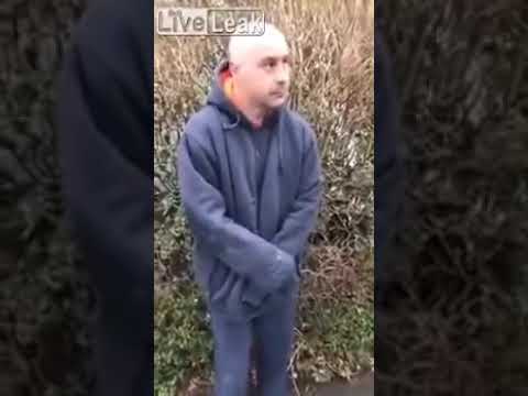 What a soy boy looks like
