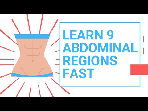 Easy Way to Remember 9 Regions of the Abdomen Quickly