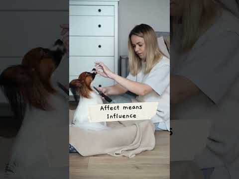 The Difference Between Affect & Effect