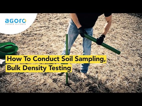 How to Conduct Soil Sampling - Bulk Density Test - Agoro Carbon Alliance