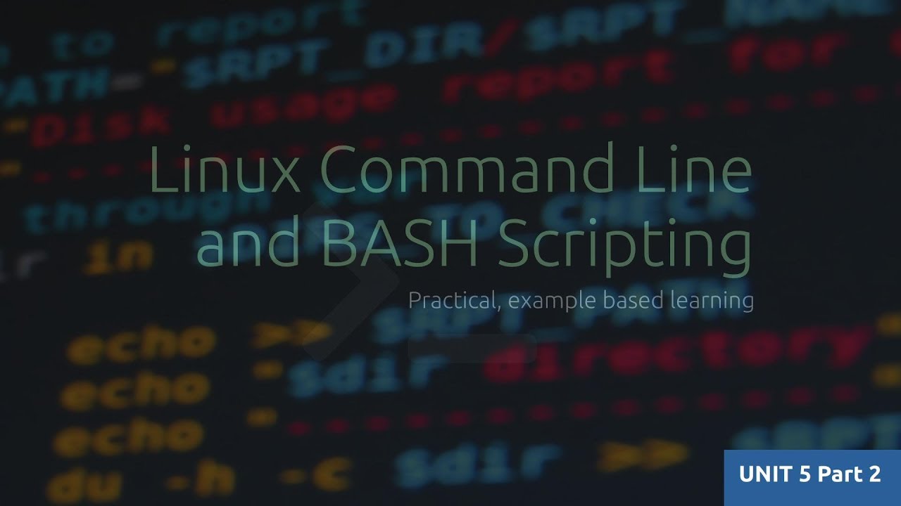 Creating and Automating Backups with BASH Scripts