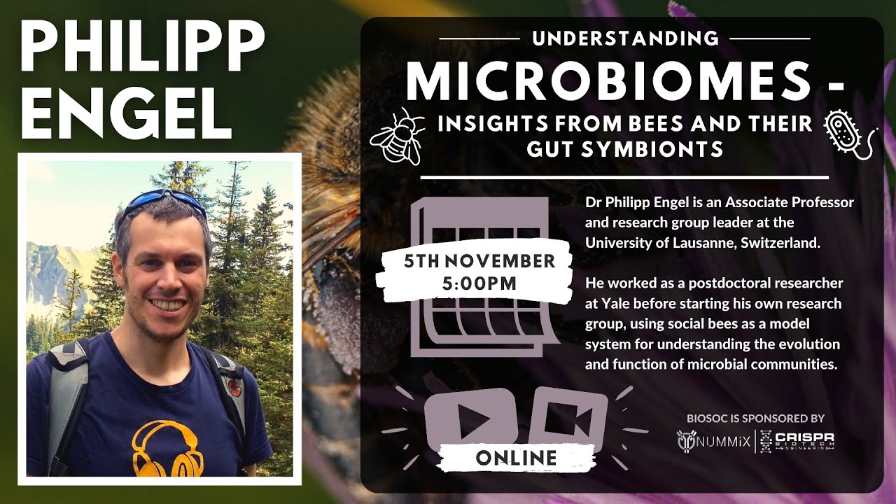 Prof Philipp Engel - Understanding microbiomes: insights from bees and their gut symbionts