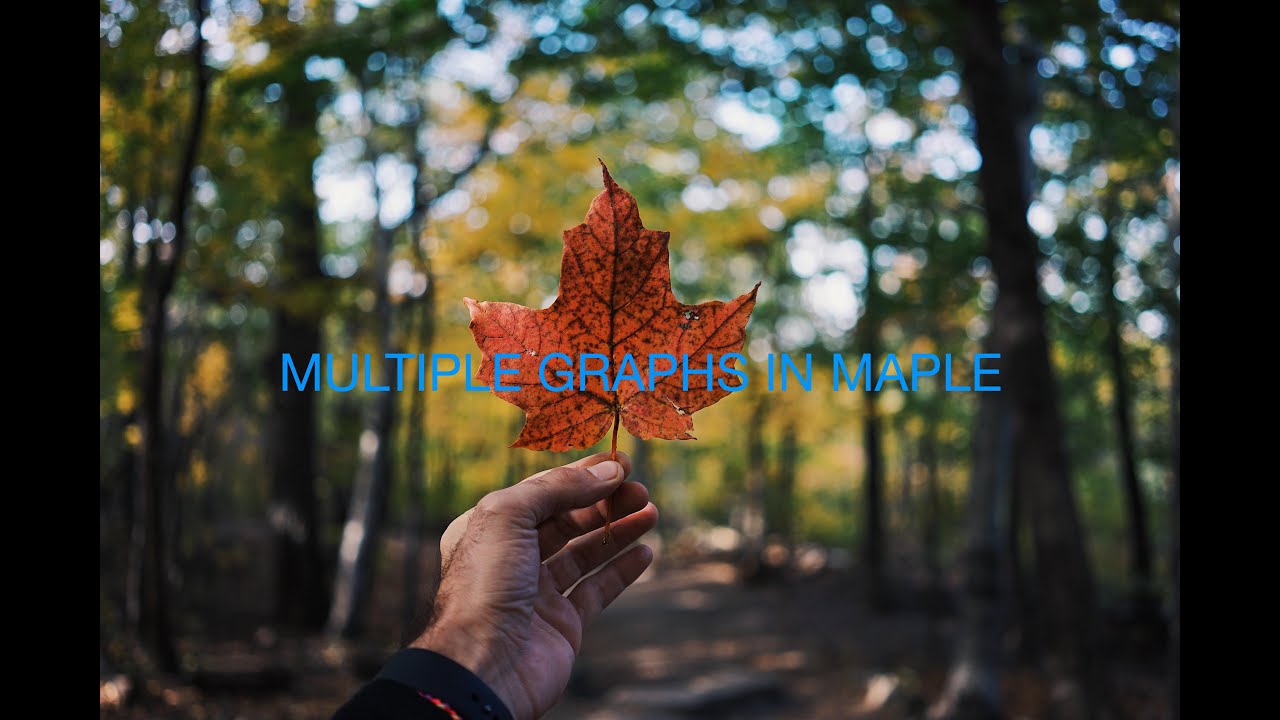 multiple graphs in maple