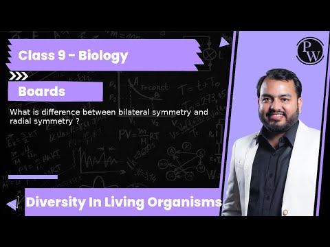 What is difference between bilateral symmetry and radial symmetry ?