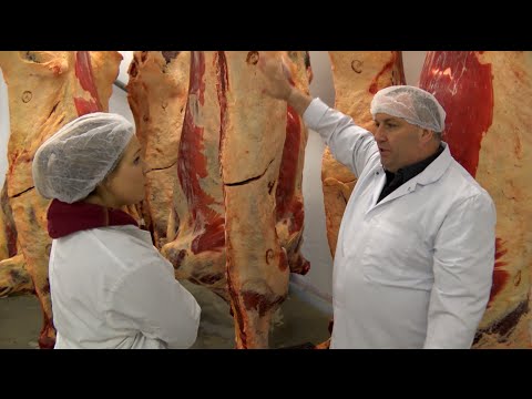 FEATURE: A look inside the Sandbay Abattoir