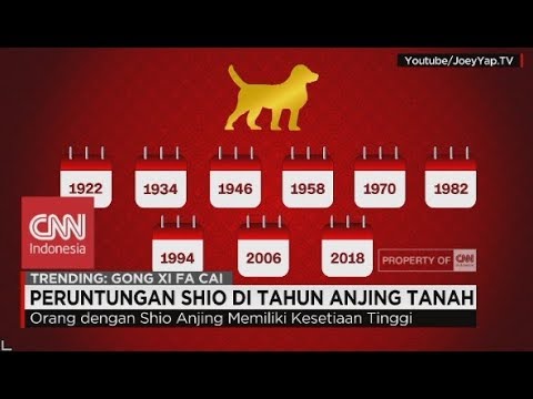 Peruntungan Shio di Tahun Anjing Tanah - Yulius Fang, Ahli Feng Shui
