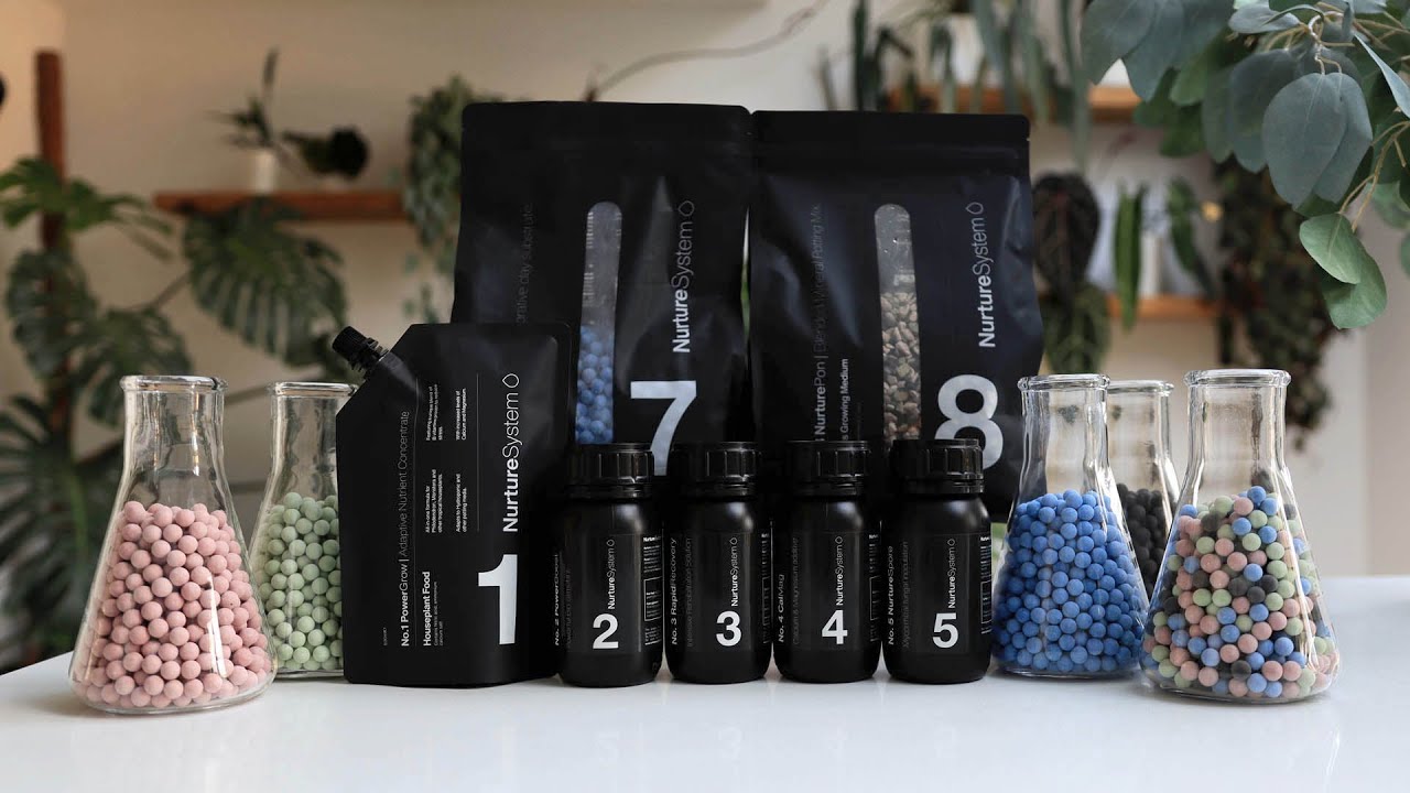 The BIG NurtureSystem Launch!!