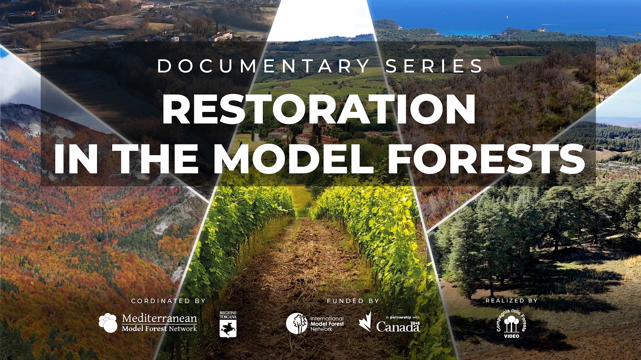 RESTORATION IN THE MODEL FORESTS - Documentary Series