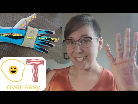Flexor Tendon Zones and Extensor Tendon Zones - What you need to know for entry level OT exam