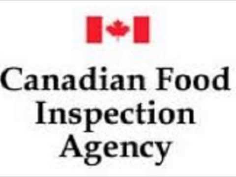 Cfia: how to retain the ultimate roadmap to direct Cfia specifications ...
