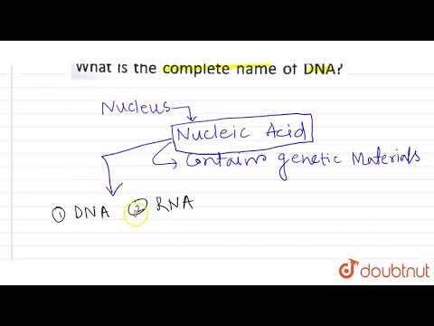 What is the complete name of DNA ?