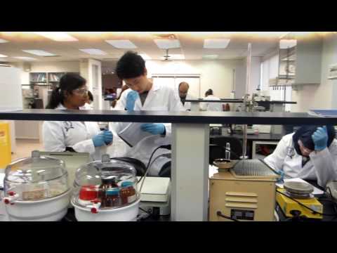 GMP Lab