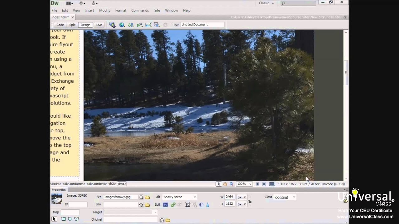 Adding Images and Graphics in Dreamweaver Tutorial
