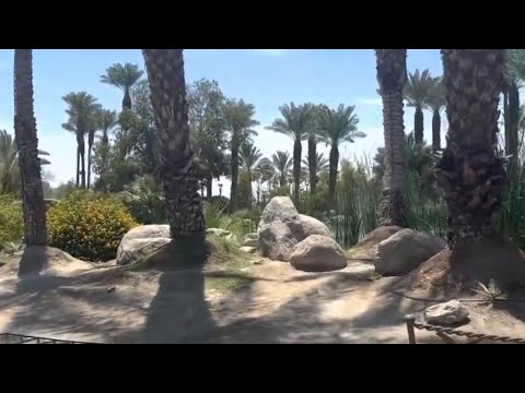 2022 Shield’s Date Garden Palm Desert