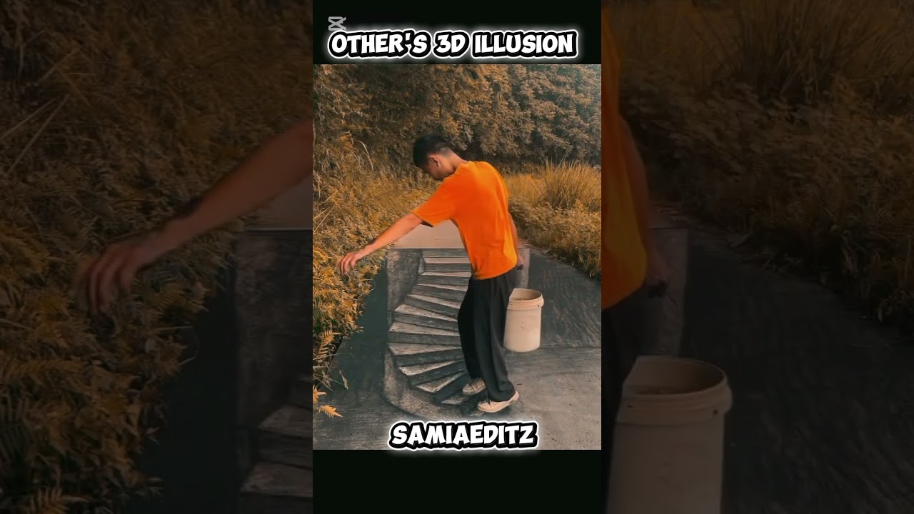 Other's 3D illusion vs last one #shorts #trollface