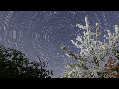 When Is Spring Equinox 2022 Why There’s An ‘Equal Night’ This Weekend And