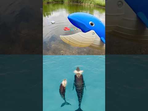 Toddler Learning | Sea Animal Names at the Pond: Polar Bear Saw Shark Lobster Seahorse Whale