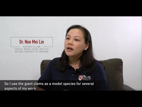 Outreach – Mei Lin Neo