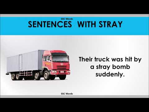 Stray word - Improve English - Meaning and 5 sentences - Stray GRE / CAT / GMAT word - SSC Words