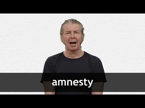 AMNESTY - Learn the Meaning, Synonyms & Translations | Collins English ...