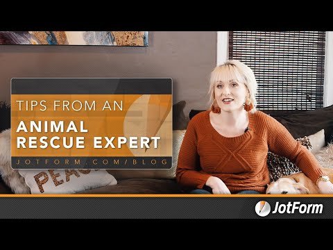 How to Start an Animal Rescue