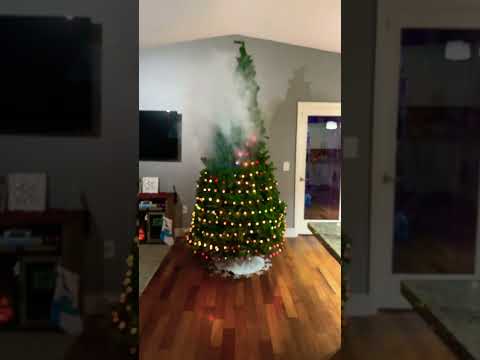 BEST TWINKLY LIGHT EFFECTS