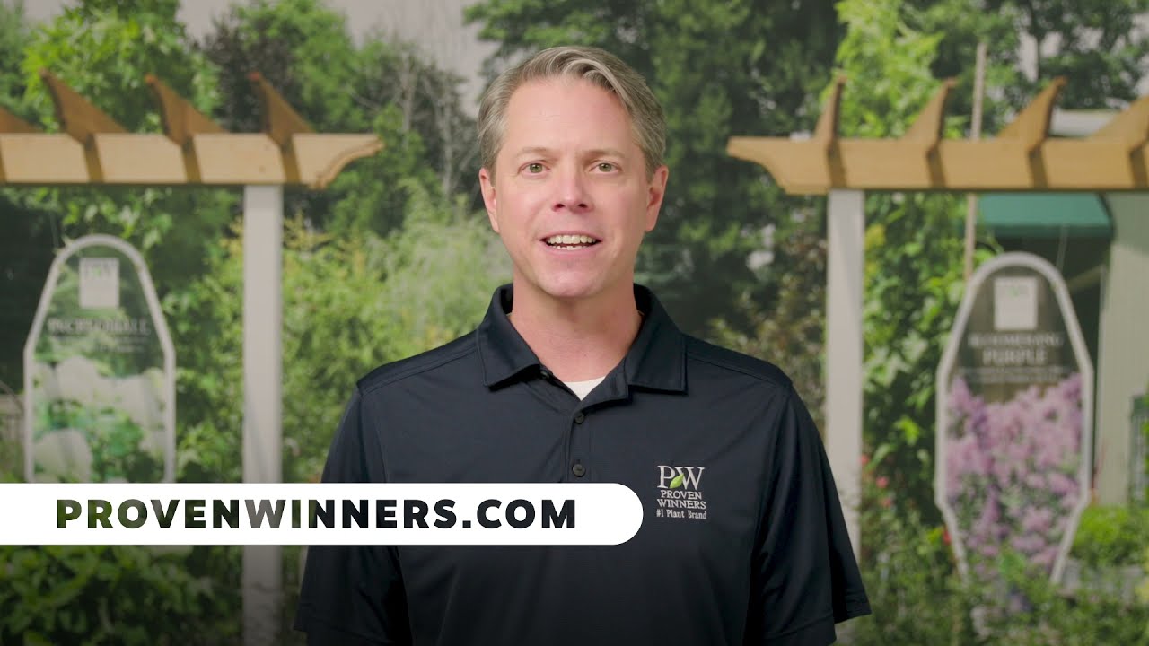 Our Complete Package Program Now Includes All Proven Winners Annuals!