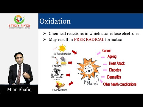Antioxidants Explained | Biology | General Science | Study River | Mian Shafiq