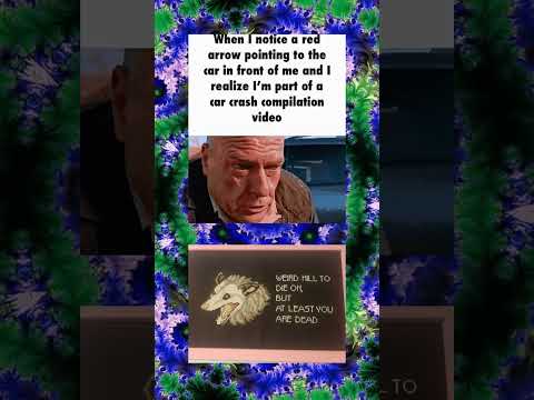 Cactasy memes #memes