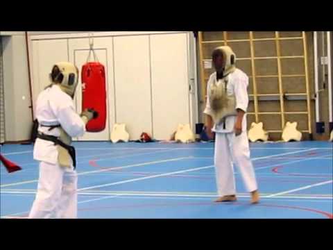 Kumite | Ryounkai Karate Delft
