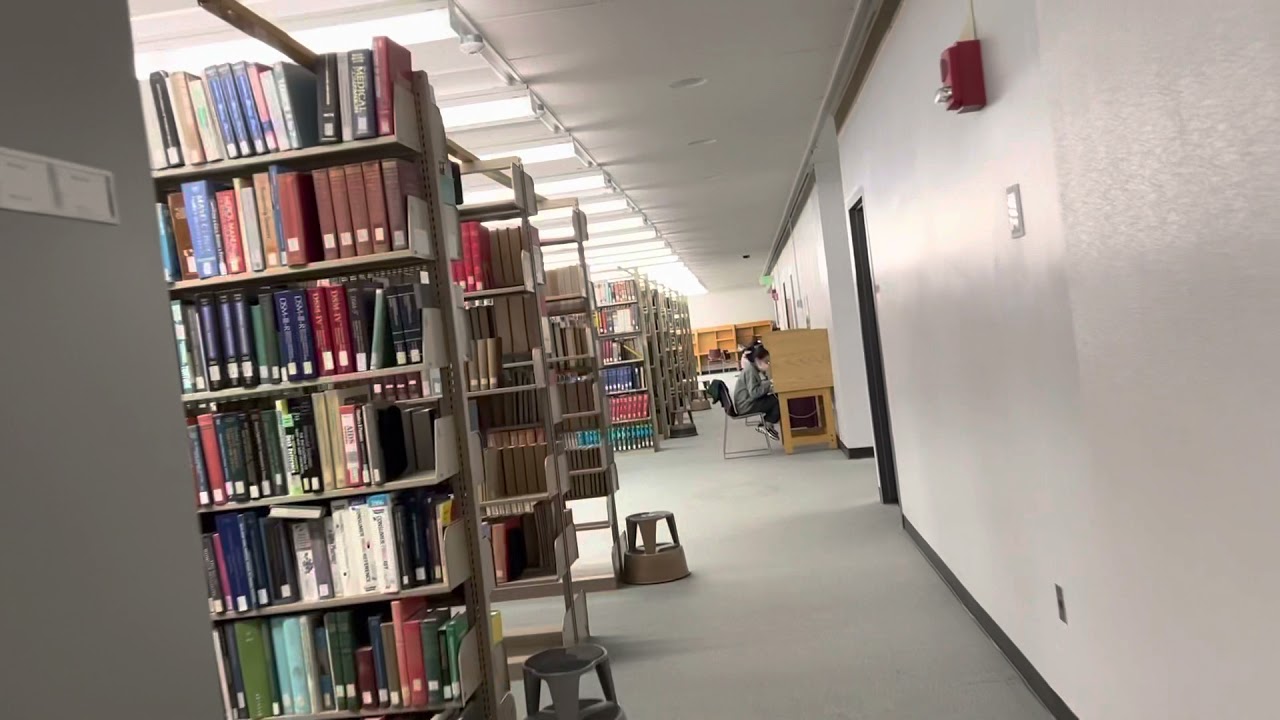 Stony Brook University Library