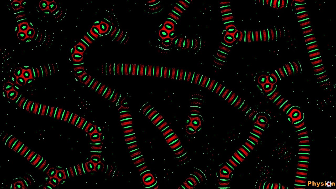 Particle Life in Physion – Create Beautiful Artificial Life Simulations