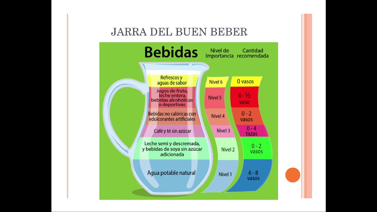 GUIAS ALIMENTARIAS