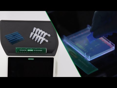 How to Excise Gel Bands with Bio-Rad's Gel Excision Kit