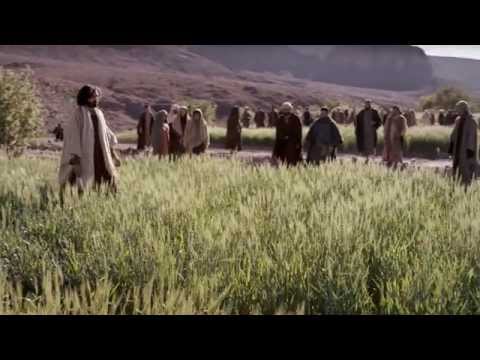 The LUMO Project Gospel videos – Creation to New Creation – a Bible ...