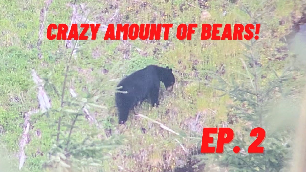 OREGON SPRING BEAR HUNT 2022 EP. 2