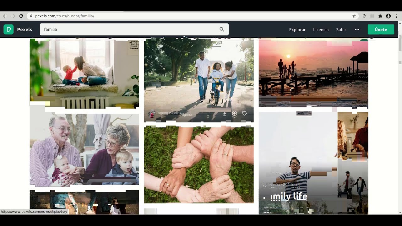 ¿Cómo descargar imágenes gratuitas de pexels.com, pixabay.com y freepik.com?