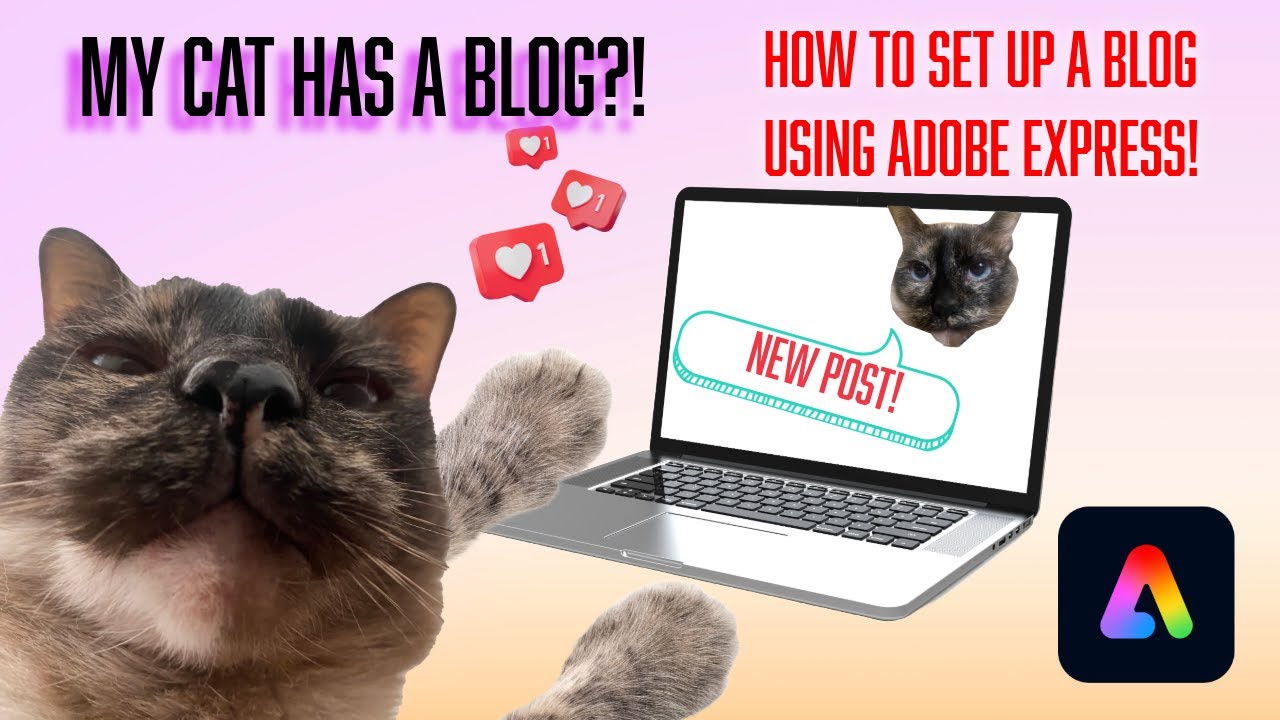 How to Make a Blog with Adobe Express (feat. My Cat!)