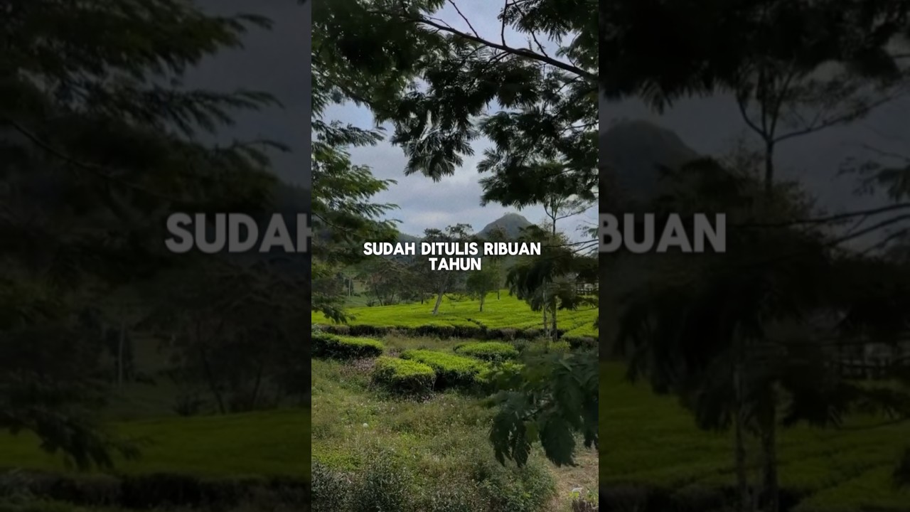 Kata-kata bijak motivasi 96 #fyp#katabijakmotivasi#katamutiaraversiislam#quoteislam#islamicvideo