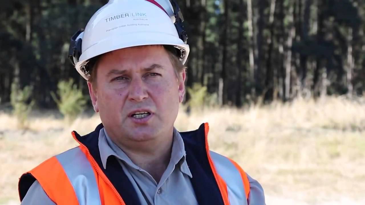 Timberlink Australia   Overview of Forestry