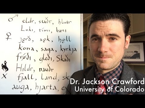 Old Norse: How Nouns Work
