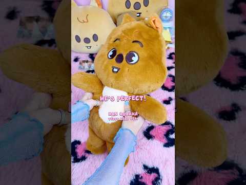 my SKZOO Han Quokka teddybear ver plushie arrived! ๐ฅน๐ #straykids #skz #skzstay #skzoo #hanjisung
