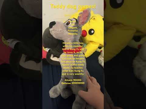 Teddy Dog Names!