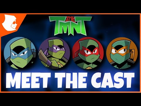 THE TMNT FAN FILM / SERIES CAST Q&A!  | Meet The Cast! [PART ONE]